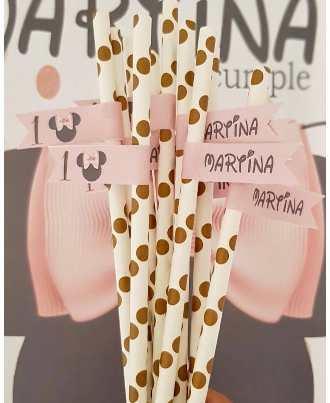 Kit Premium Minnie Mouse