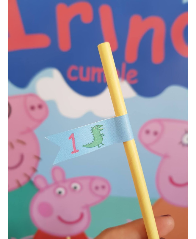 Kit Básico Peppa Pig y su familia