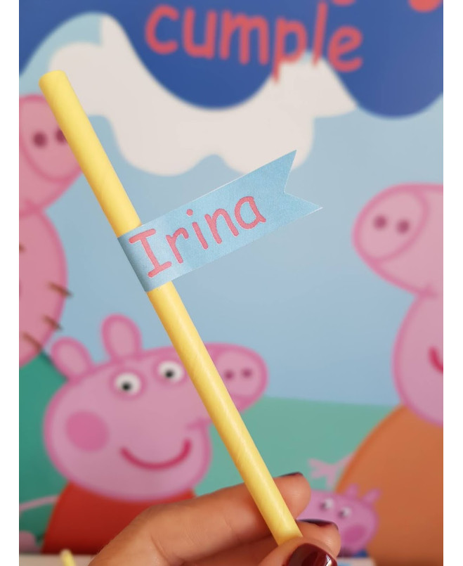 Kit Básico Peppa Pig y su familia